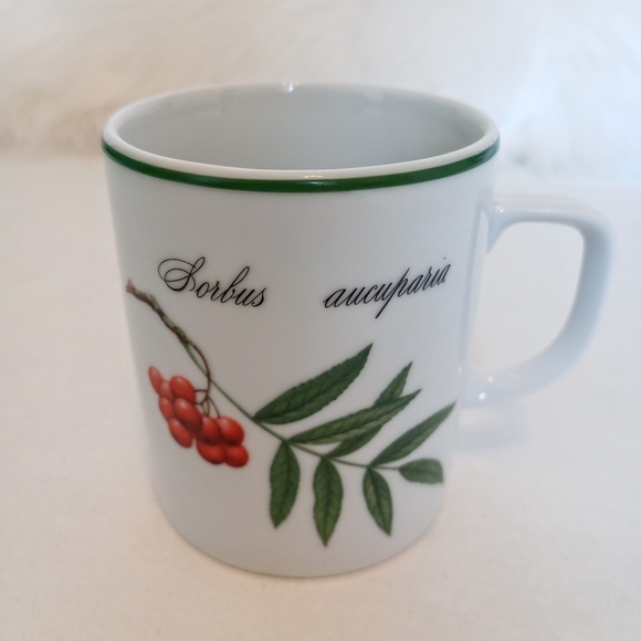 Apilco | Dining | Apilco Elysian Garden Sorbus Aucuparia Porcelain Mug ...